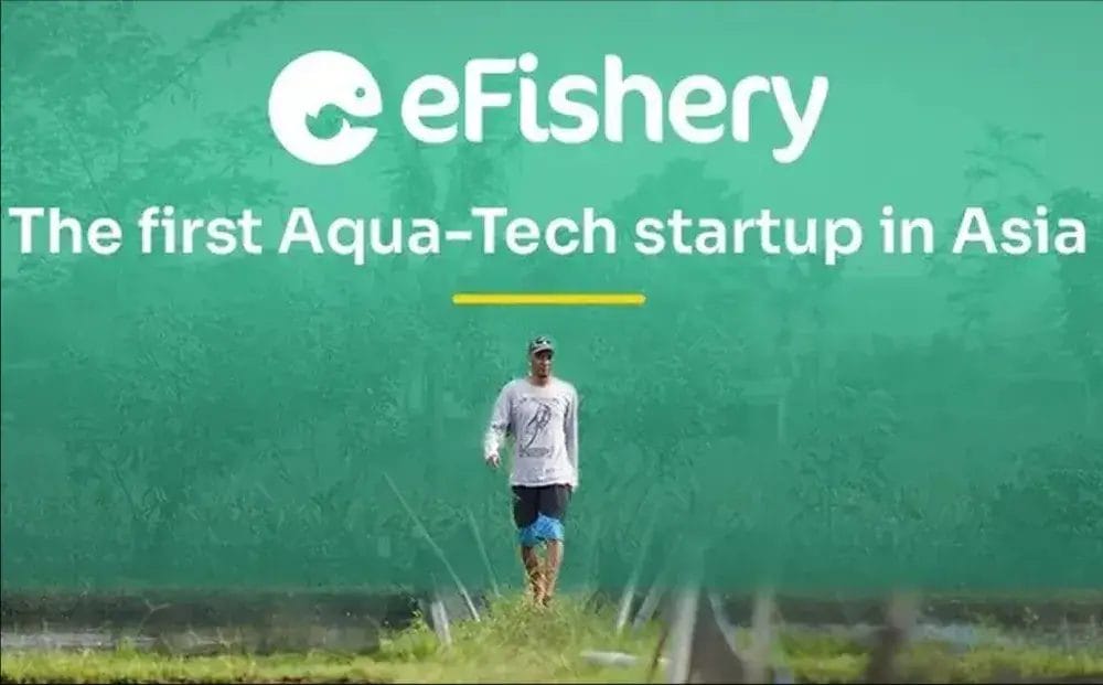 Pelajaran Kasus eFishery: Integritas Adalah Segalanya - Portal Bisnis KUMKM